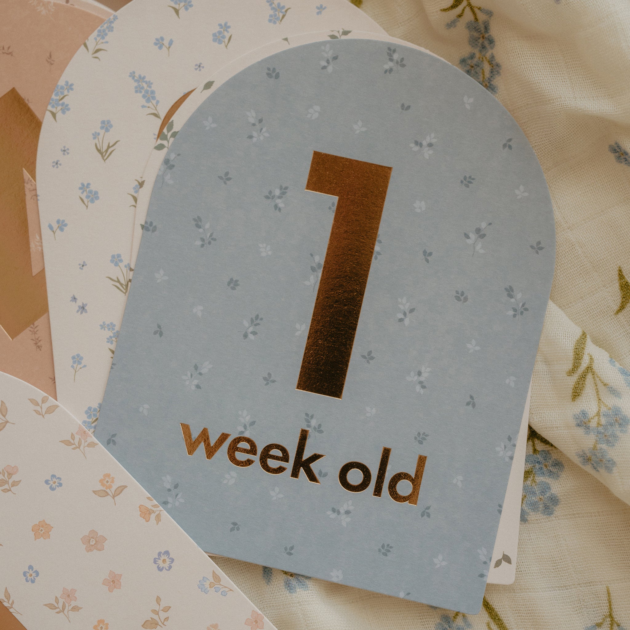 Baby Milestone Cards Broderie– Fox & Fallow